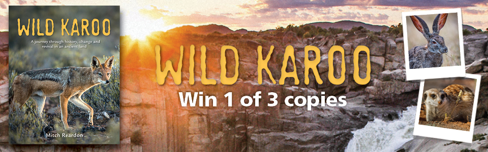 Wild Karoo Penguin Random House South Africa