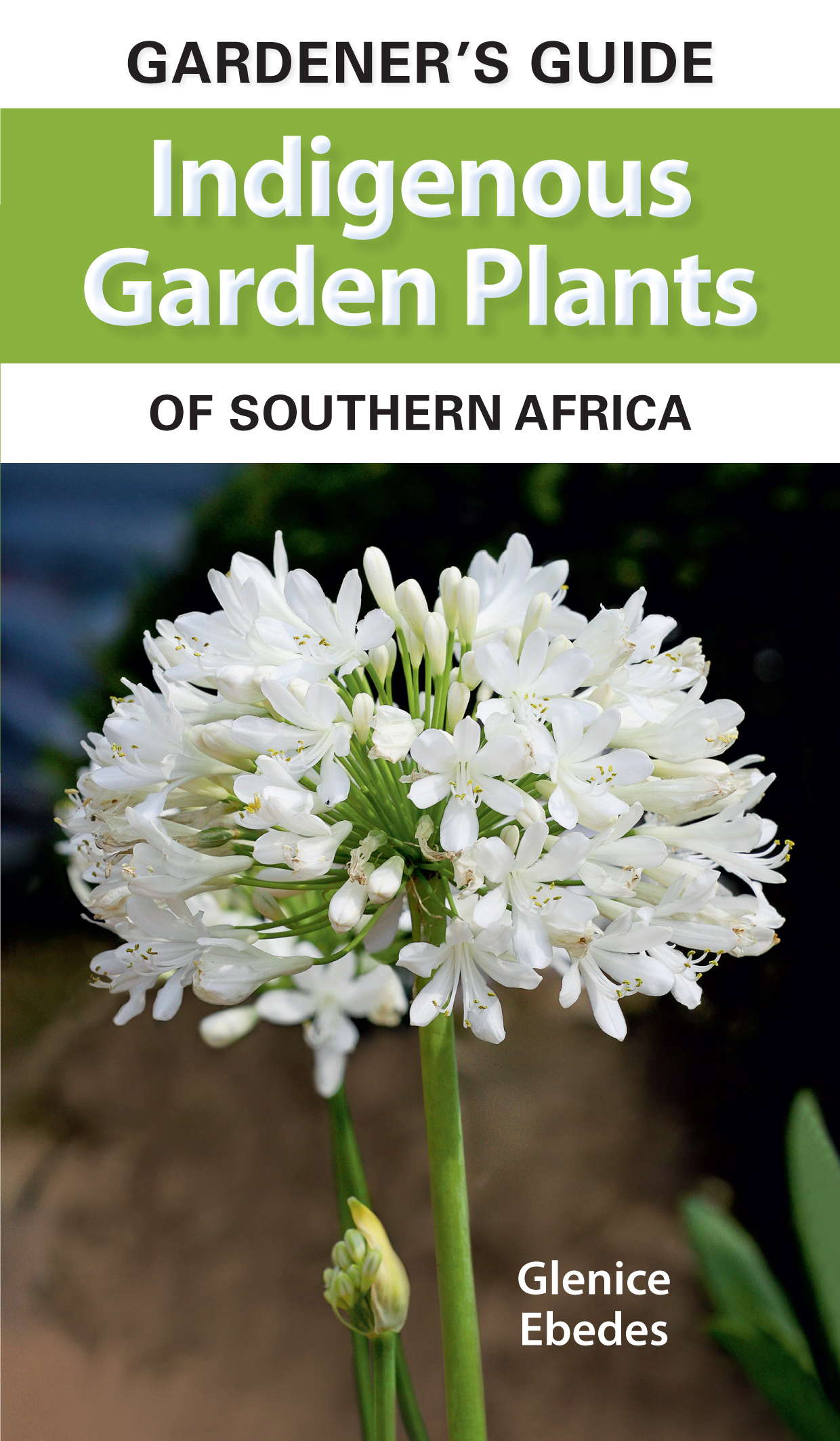 Types Of Plants In South Africa at Shaun Dorsey blog
